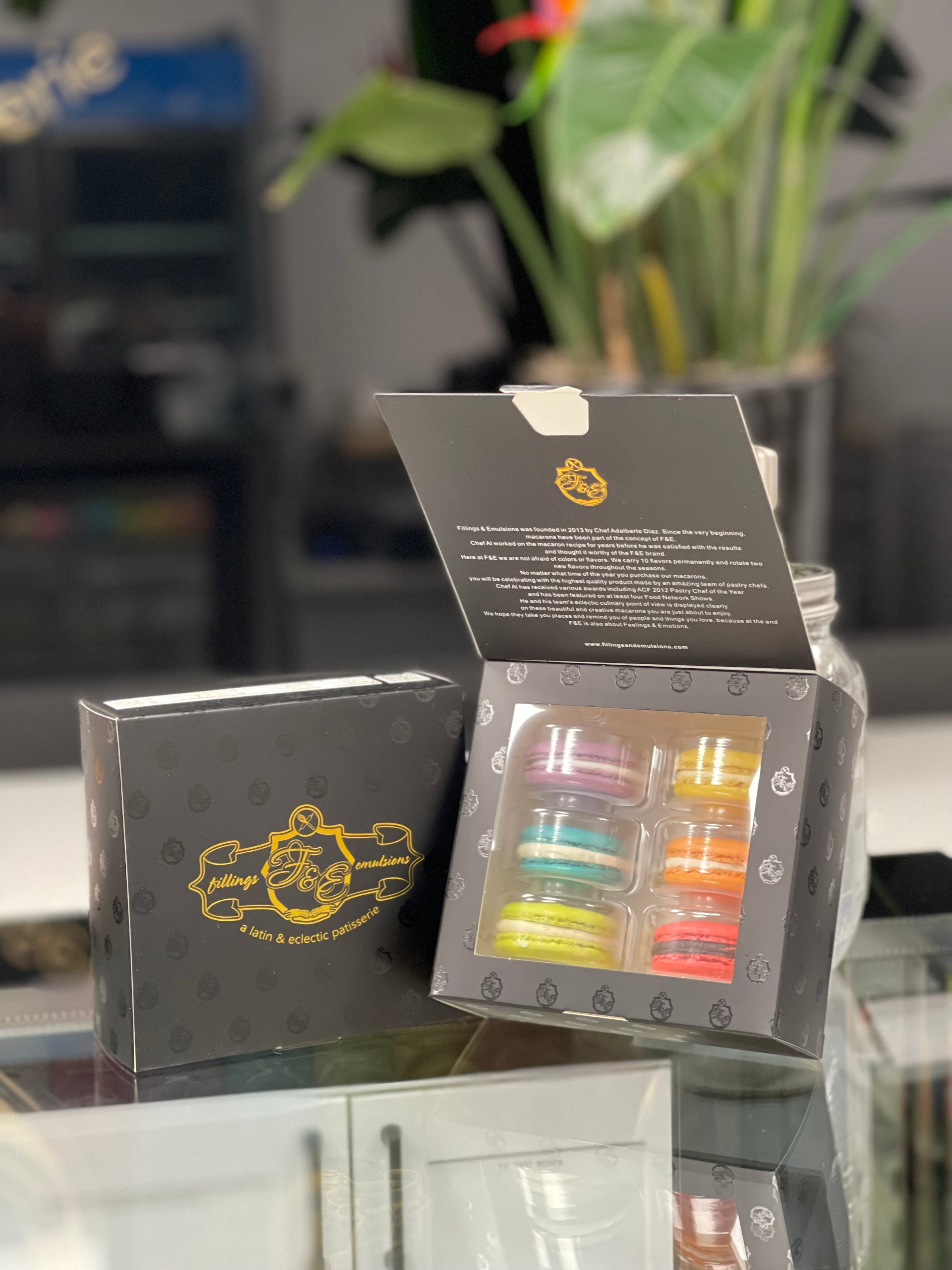 Customized Macaron Six Pack Box | F&E